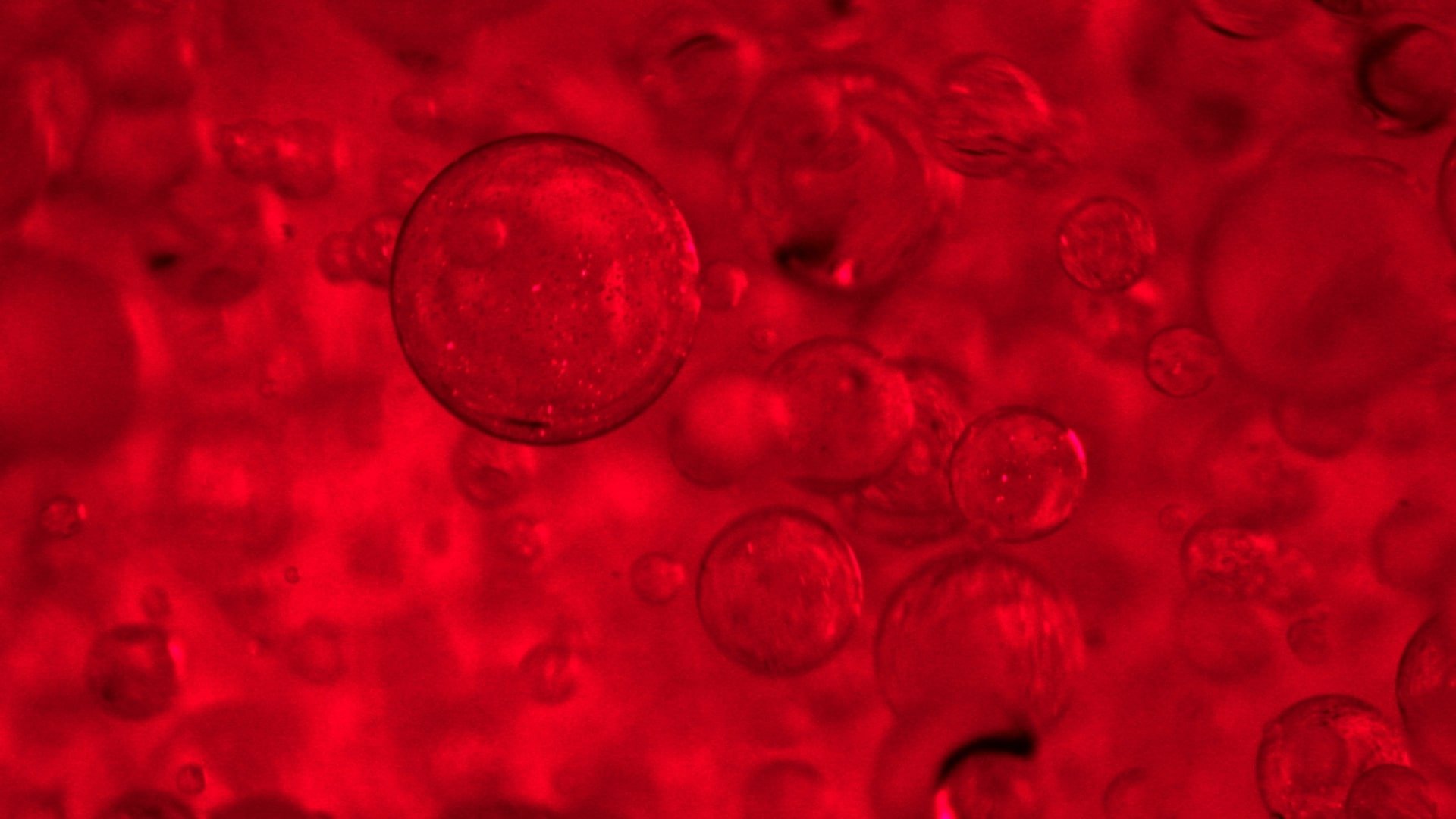 COLLAGEN 17 CONDITIONER